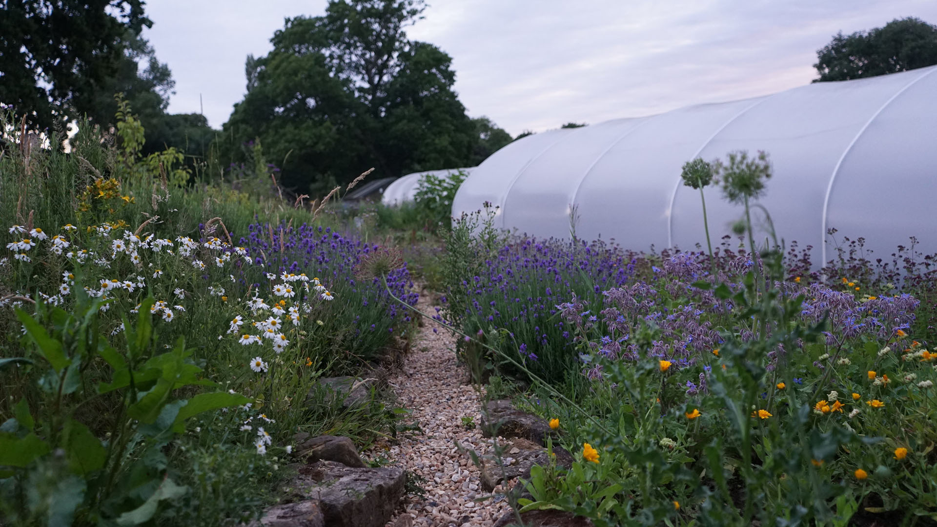 Plaw Hatch Farm - The Best of East Grinstead